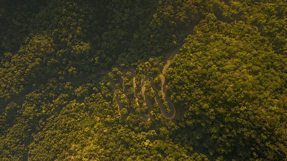 Gudisa Hill Station – 2-Day Nature Camp from Maredumilli